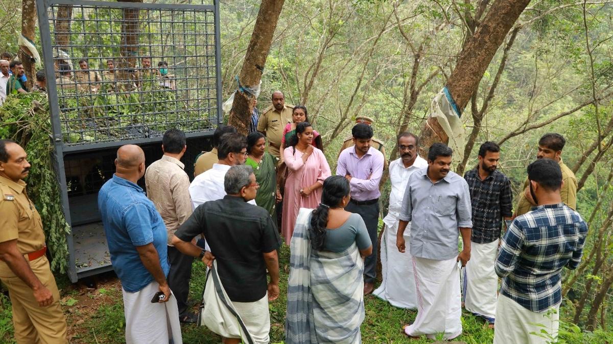 Forest department launches drone search for elusive leopard at ...