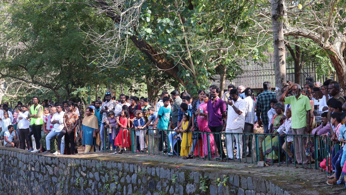 Over 60,000 people visited Chennai’s Vandalur zoo during Pongal ...