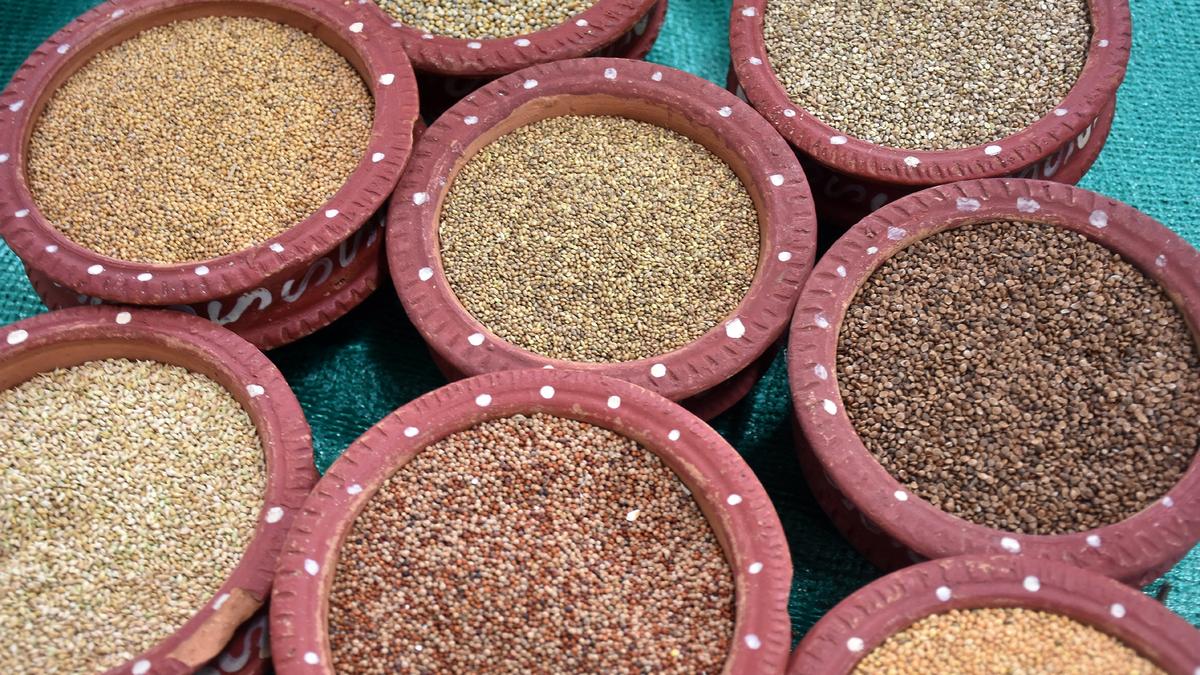 Seed-savers, progressive farmers call for conservation of agro ...