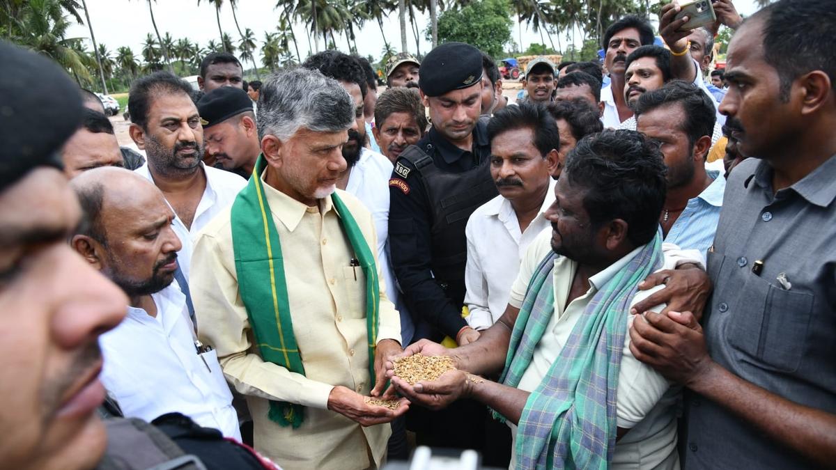 Andhra Pradesh: Naidu asks Jagan to assess damage caused to crops due to rains and reach out to ...