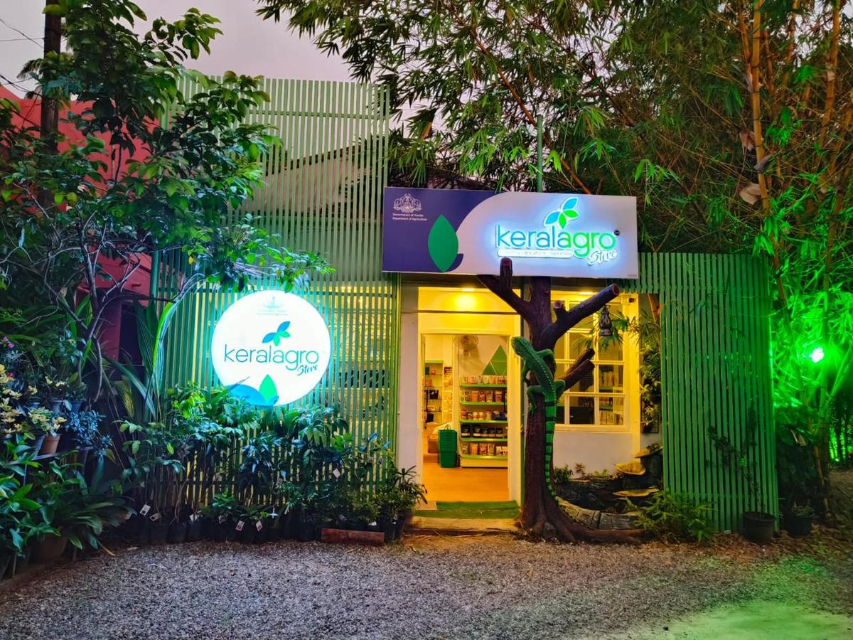 Kerala Government’s Millet Cafe in Thiruvananthapuram has a plethora of ...