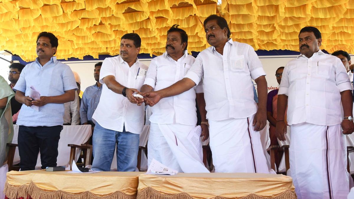 Minister inaugurates high-level bridge in Madurai - The Hindu