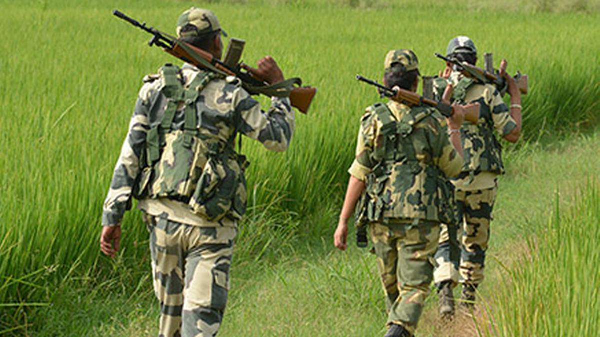 Pakistani intruder shot dead by BSF along Punjab border - The Hindu