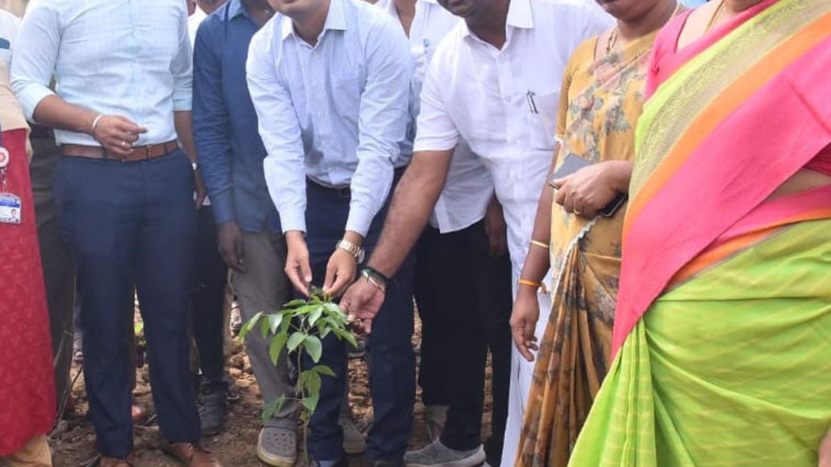 Sapling planting drive along banks of Kurichi tank launched by ...