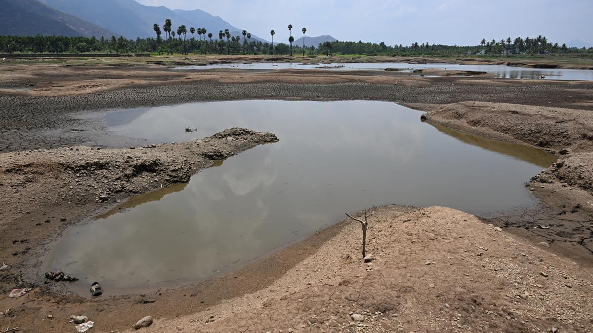 Farmers demand dredging of Kannankurichi New Lake - The Hindu