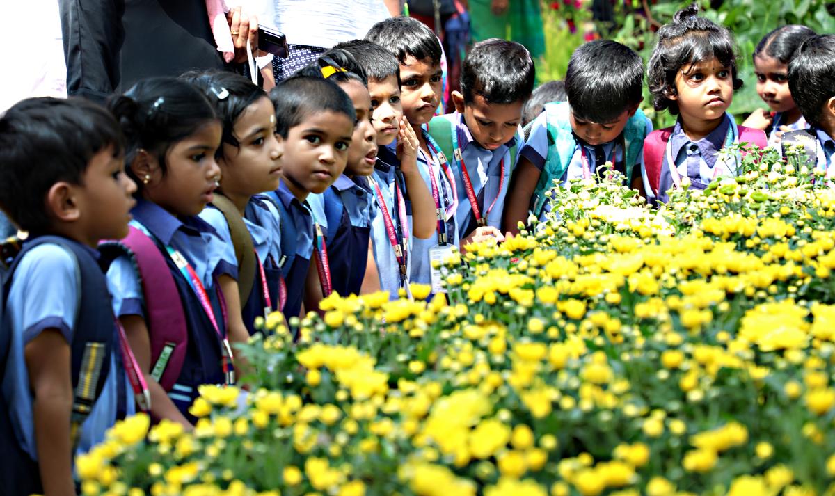 With 12 lakh plants, live flower show at Semmozhi Poonga a treat in ...