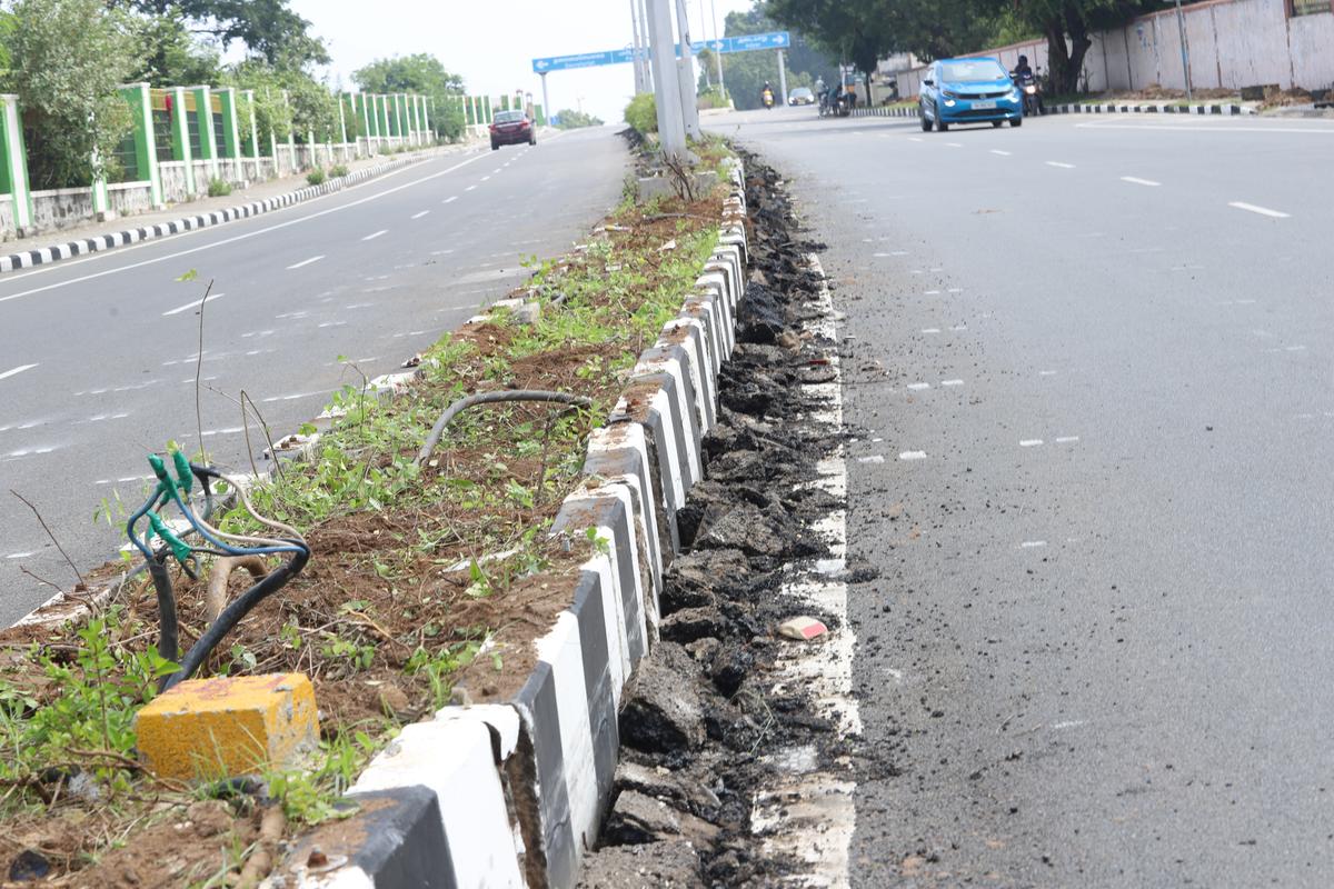 Swami Sivananda Salai vrooming into the spotlight - The Hindu