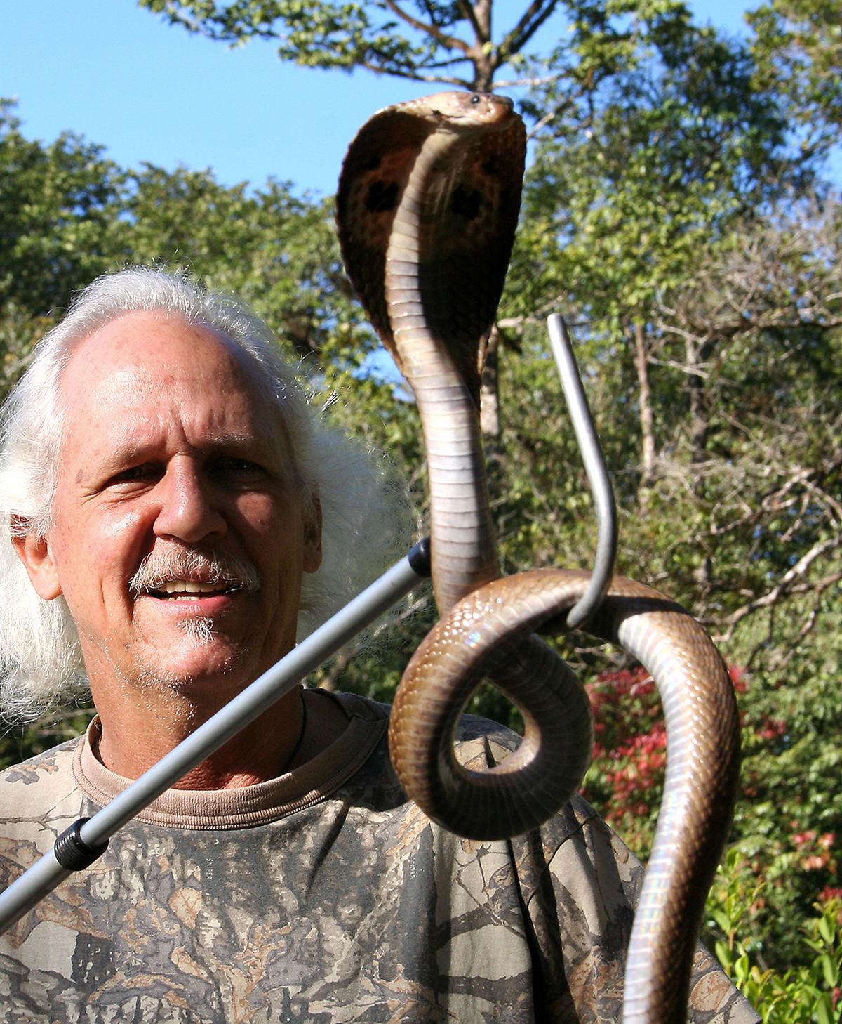 Snakebite capital | What India must get right - The Hindu