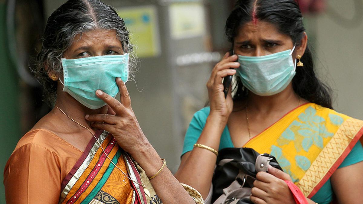 As bat breeding season begins, Kerala on alert against Nipah - The Hindu