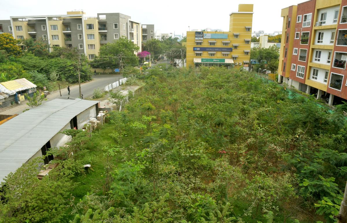 They grow fast and easy but do Miyawaki forests meet the fundamental ...