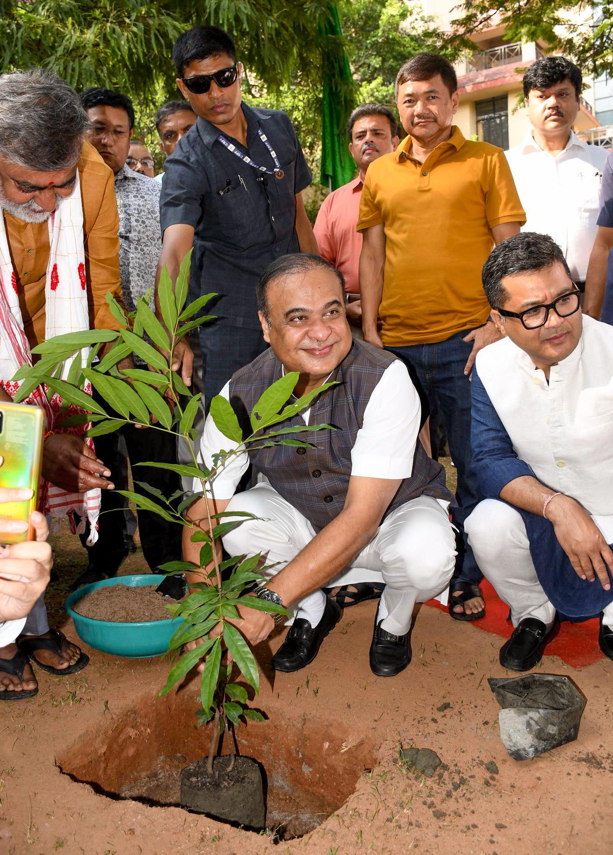 Stab at nine world records during Assam plantation drive - The Hindu