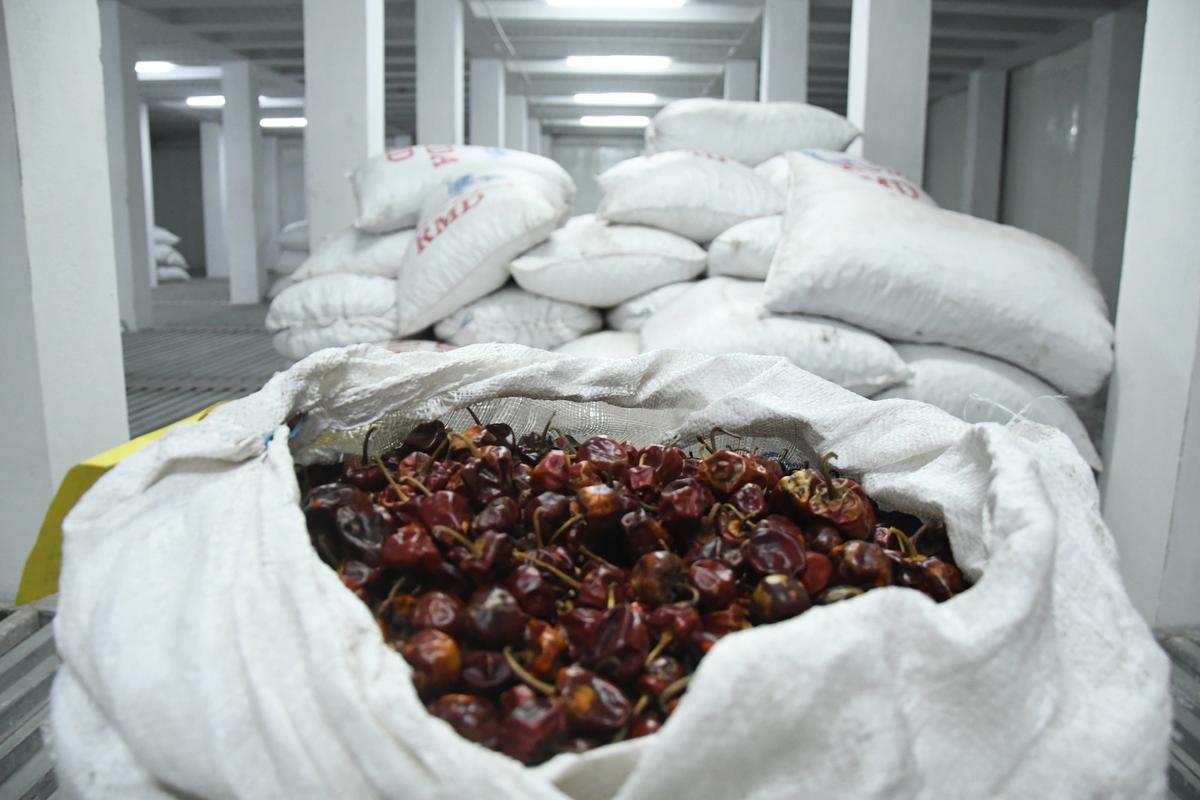 ‘Ramanathapuram ‘mundu chilli’ farmers must tap warehouse facilities to ...