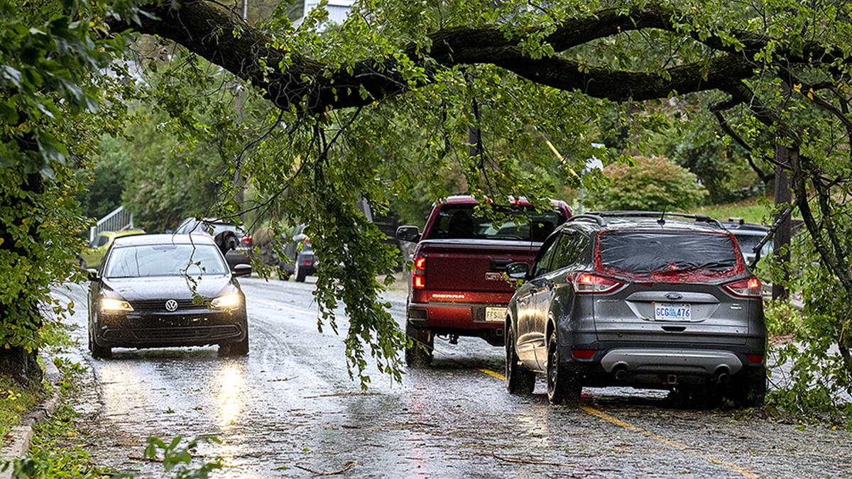Canada sends troops to help clear Fiona's devastation - The Hindu