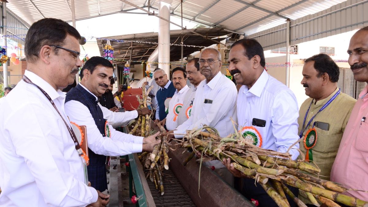 VC Farm gets organic jaggery unit - The Hindu