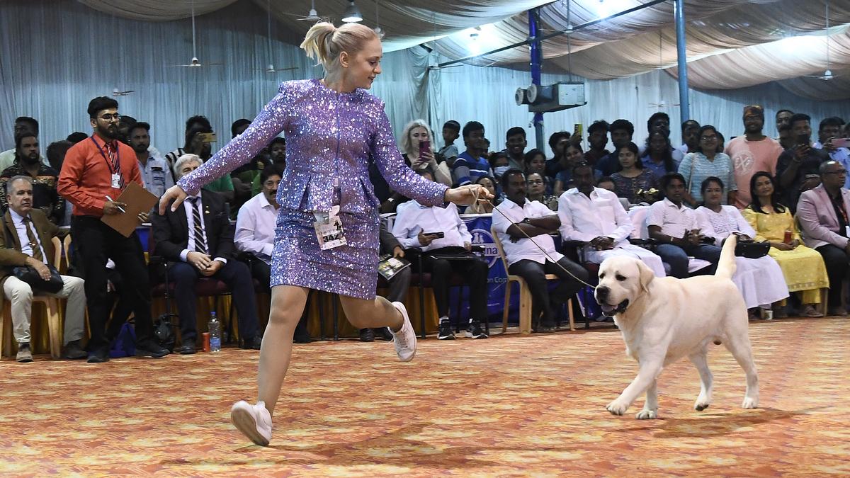 Indigenous breeds exhibit talent on final day of international dog ...