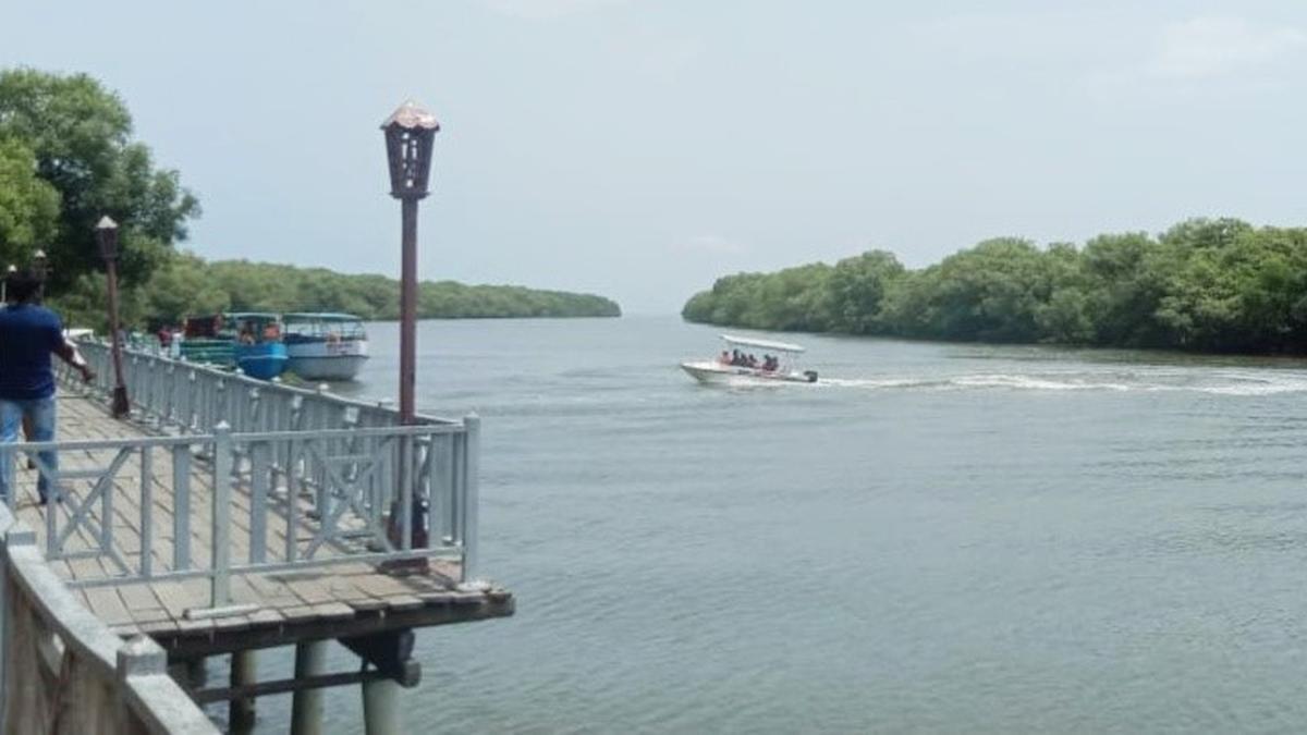 Coringa Wildlife Sanctuary to offer speed boating - The Hindu