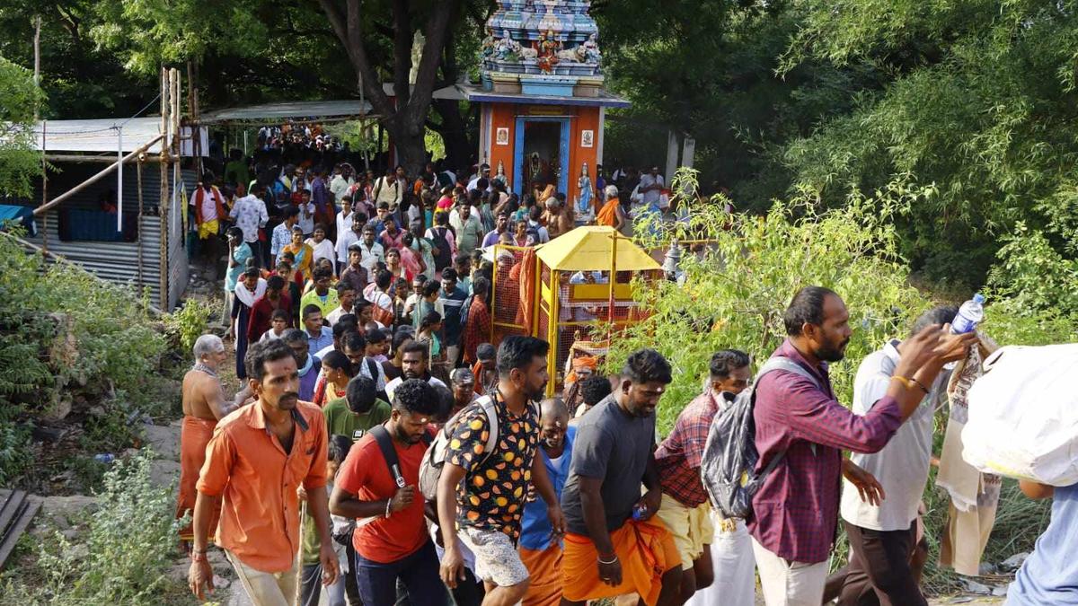 Over 50,000 devotees climb Sathuragiri hills - The Hindu