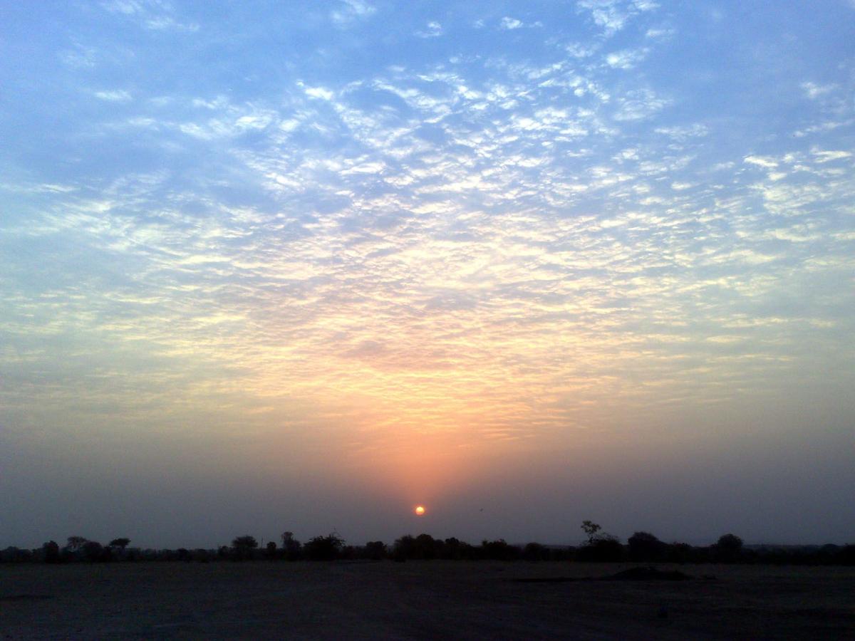 Why is the genie in Disney’s “Aladdin” blue? - The Hindu