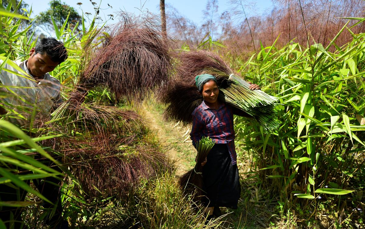 In frames: The flight of brooms - The Hindu