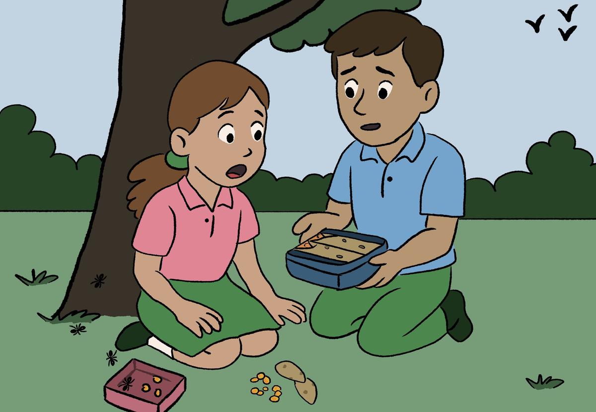 The yellow charm - The Hindu