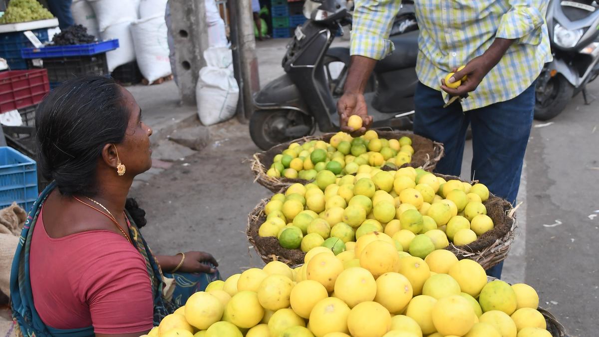 As temperature soars, lemon prices go through the roof - The Hindu