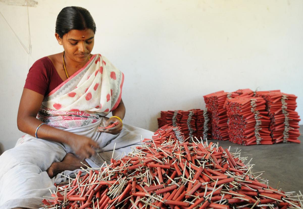 Crackers_Story_06.jpg - The Hindu