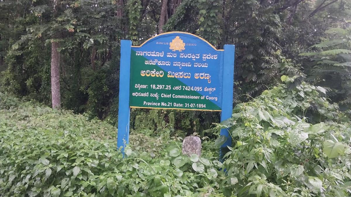 Forest Department approves cutting of 1,118 trees in Kodagu plantation ...