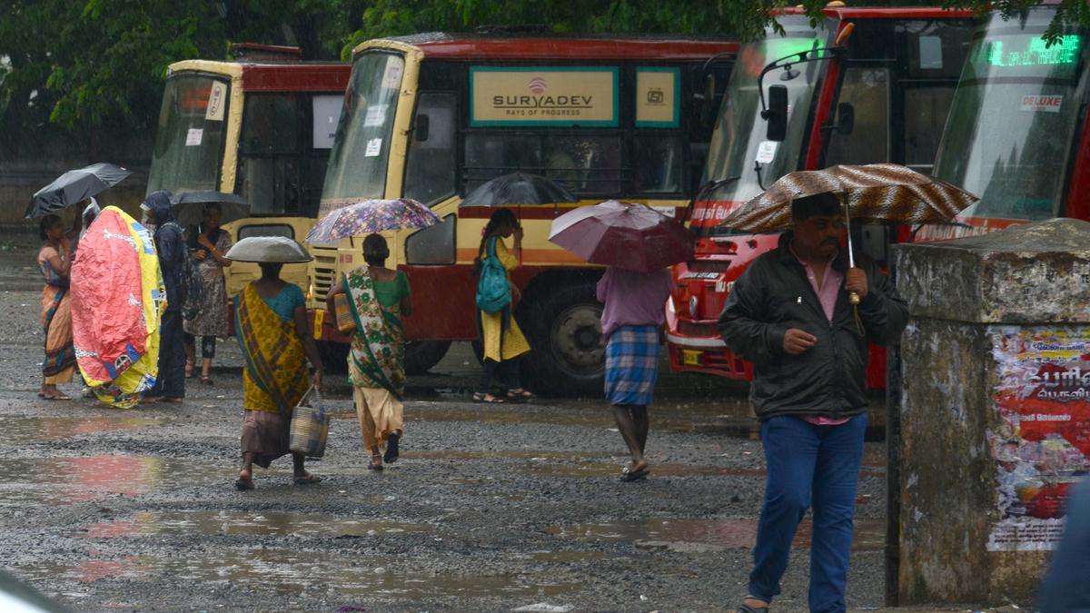 Tamil Nadu rain updates | November 2, 2022 - The Hindu