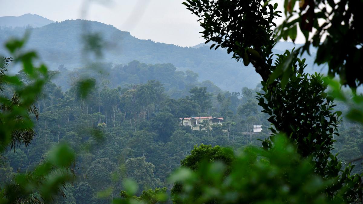 Western Ghats forest encroachment task force formed to clear ...