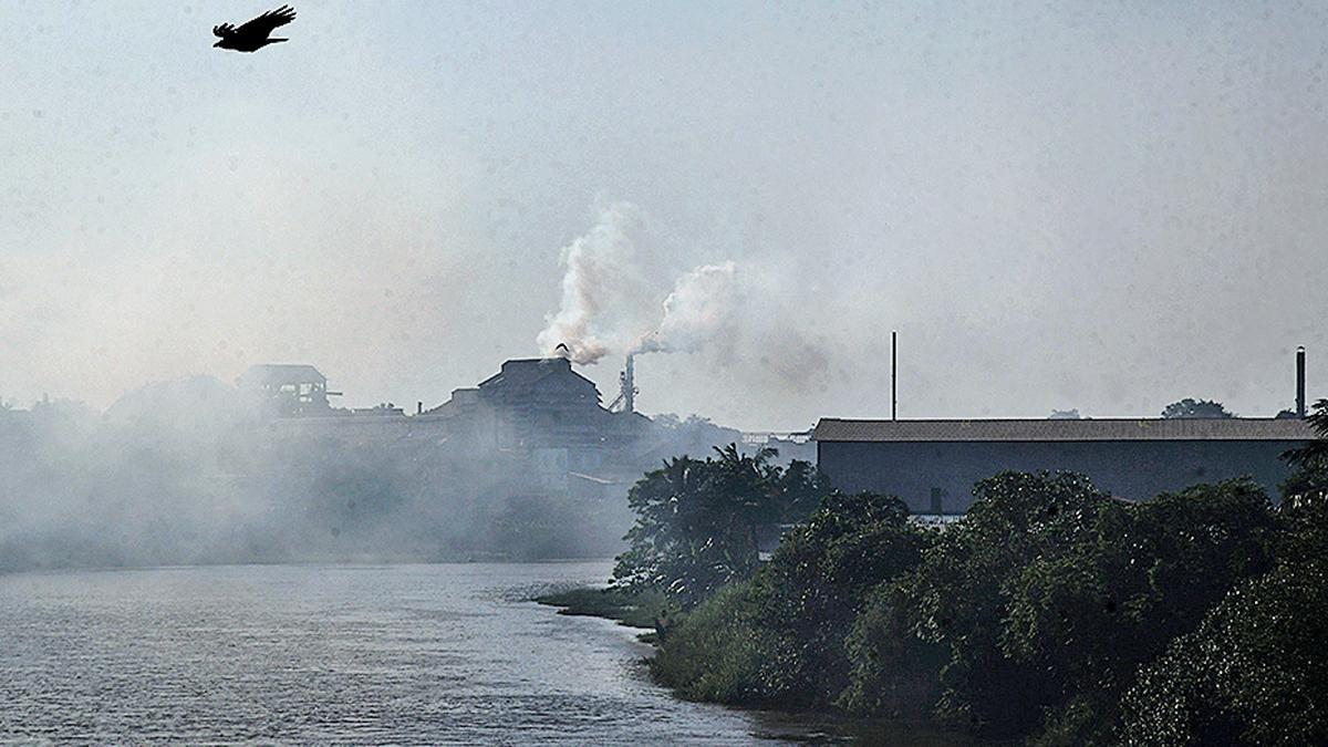 Government to revise Periyar Action Plan with fund allocation for ...