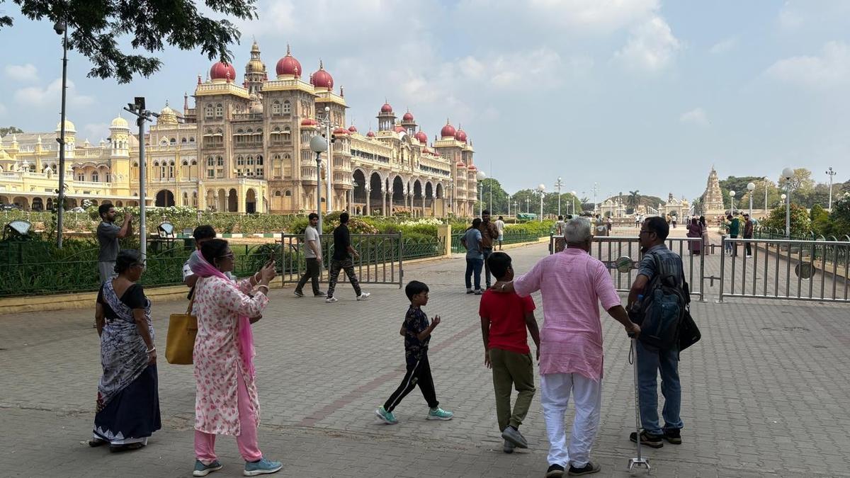 Lukewarm response to bandh in Mysuru - The Hindu