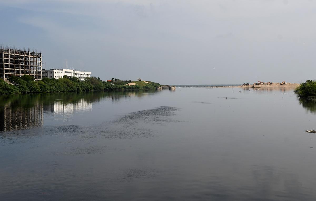 Cooum — a winding, flowing, stinking lifeline of Chennai - The Hindu