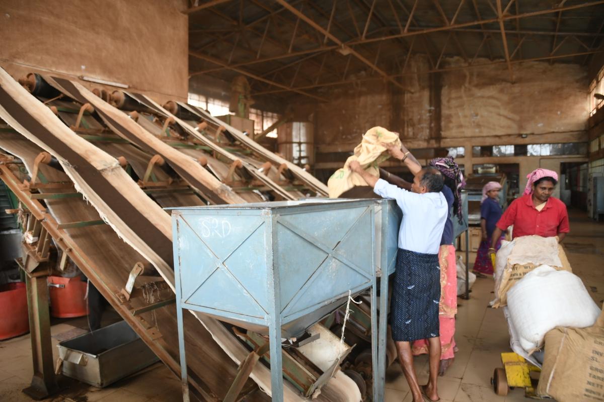 Storm in a tea cup - The Hindu