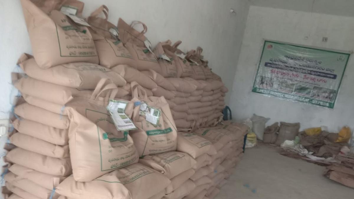 Anhra Pradesh: 42,000 quintals of seeds are being distributed to ...
