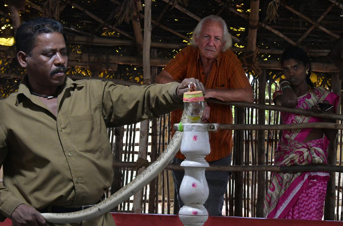 Review of Romulus Whitaker’s Snakes, Drugs and Rock ‘n’ Roll — My Early ...