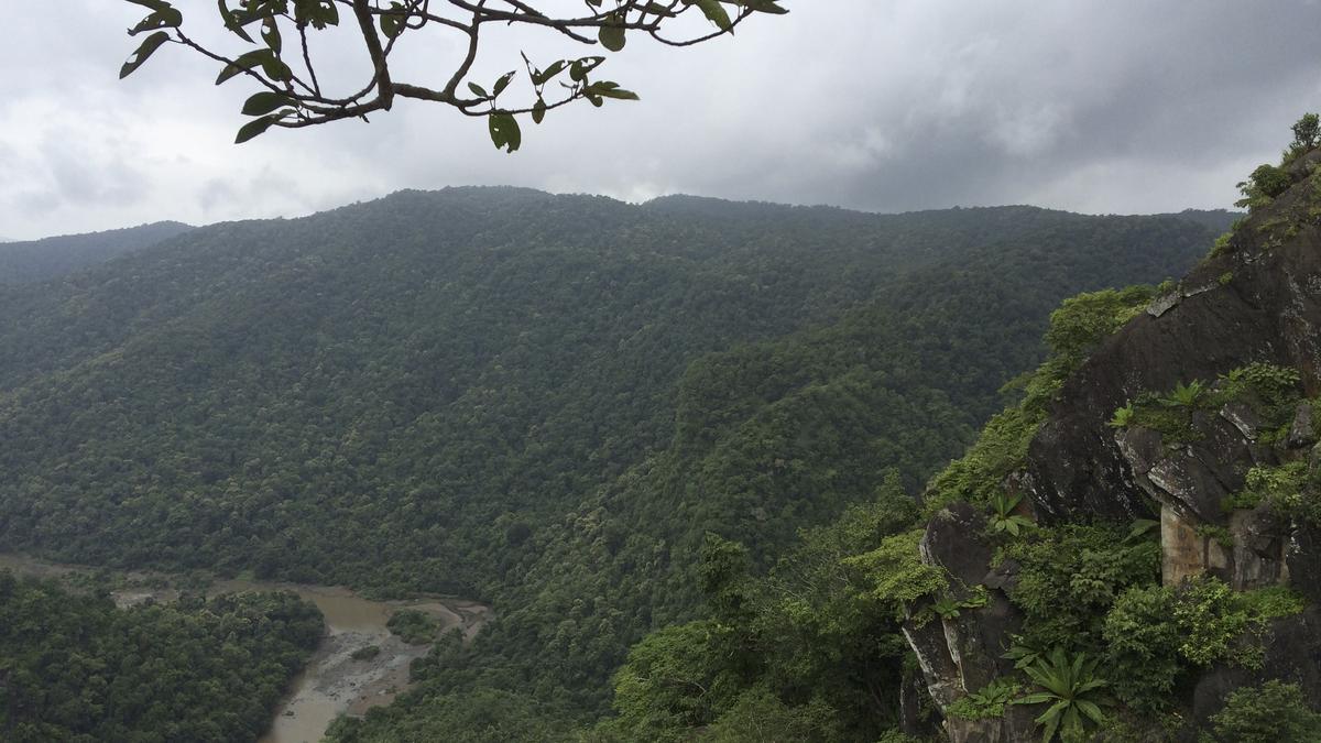 Questions raised over relocation of forest dwellers in Kali Tiger ...