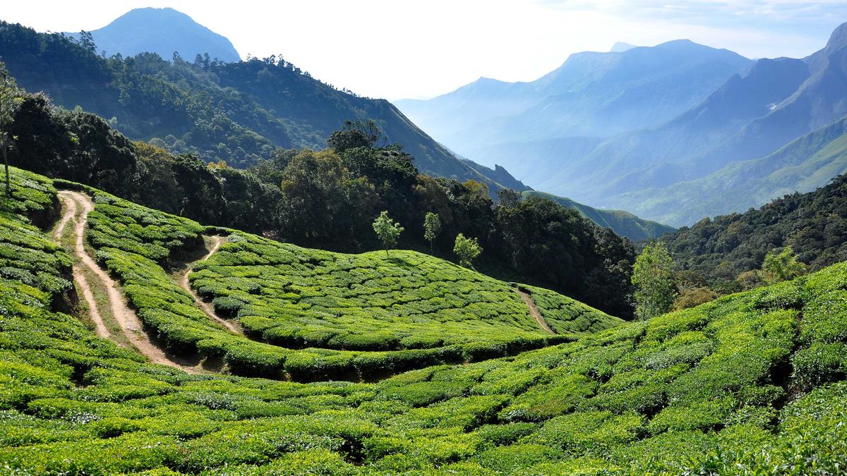 Idukki once again becomes the biggest district in State - The Hindu