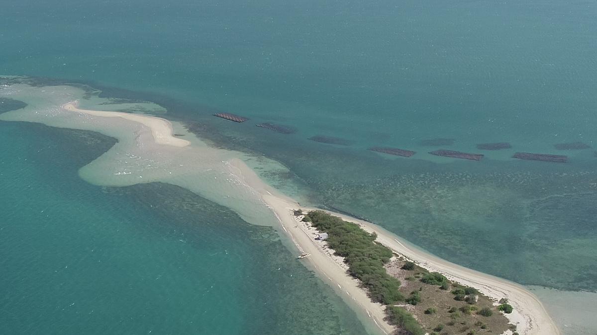 Deep-sea region of Gulf of Mannar included in hydrocarbon exploration ...