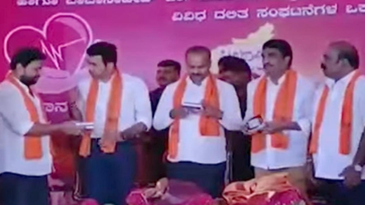 Rowdy-sheeters more keen on ULB route into mainstream politics - The Hindu