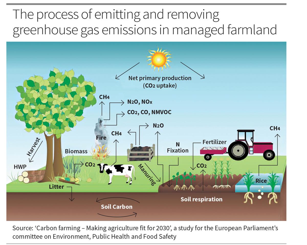 What is carbon farming? | Explained - The Hindu