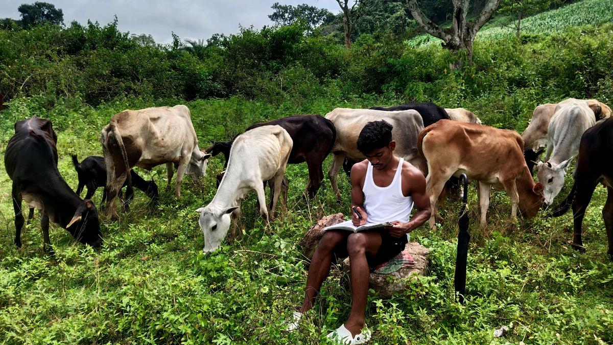 Sanatan Pradhan, Odisha tribal student cracks NEET in first attempt ...