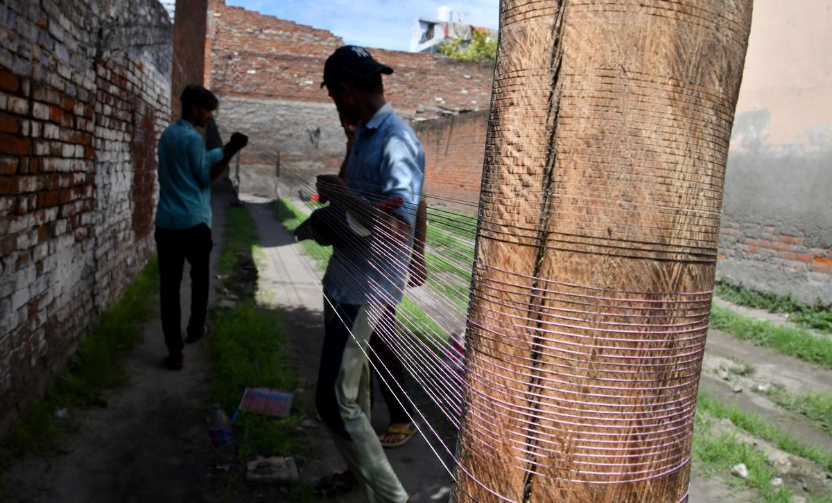 Chinese manja snips off desi challenger - The Hindu