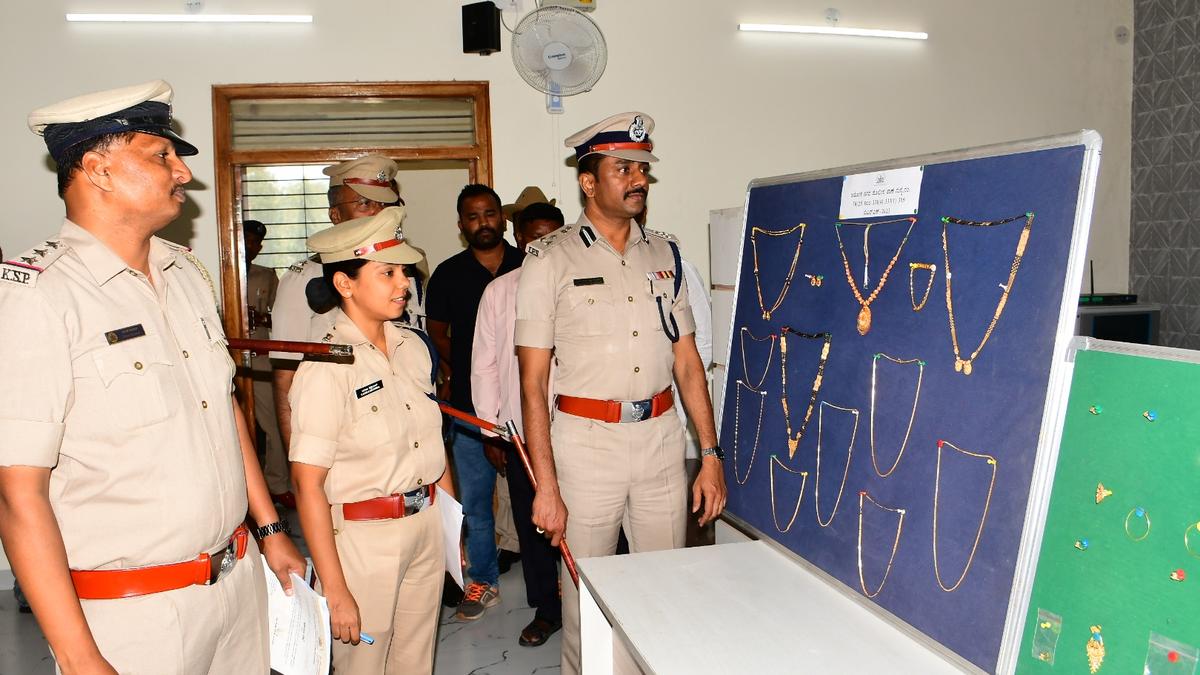 Inter-State thief wanted in 260 cases arrested in Kalaburagi - The Hindu