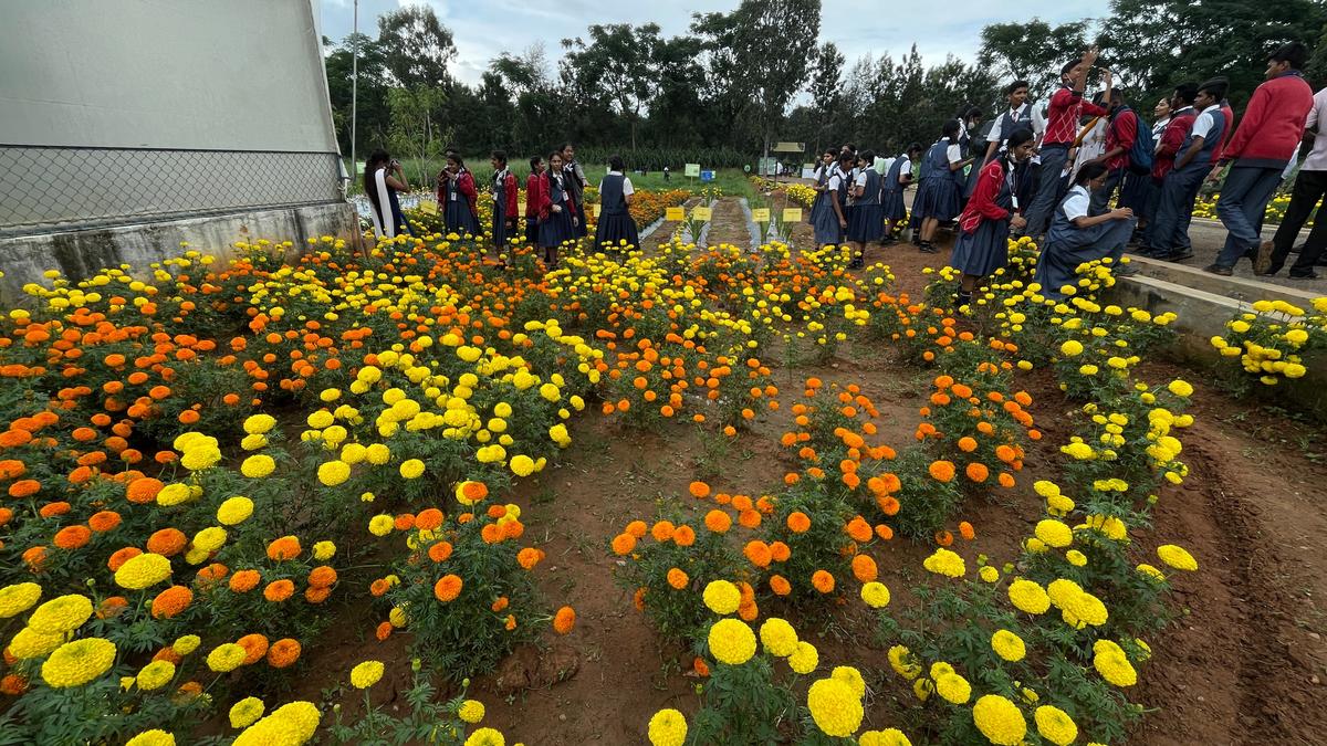 Crowd at Krishi Mela in Bengaluru swells to 2.45 lakh on second day ...