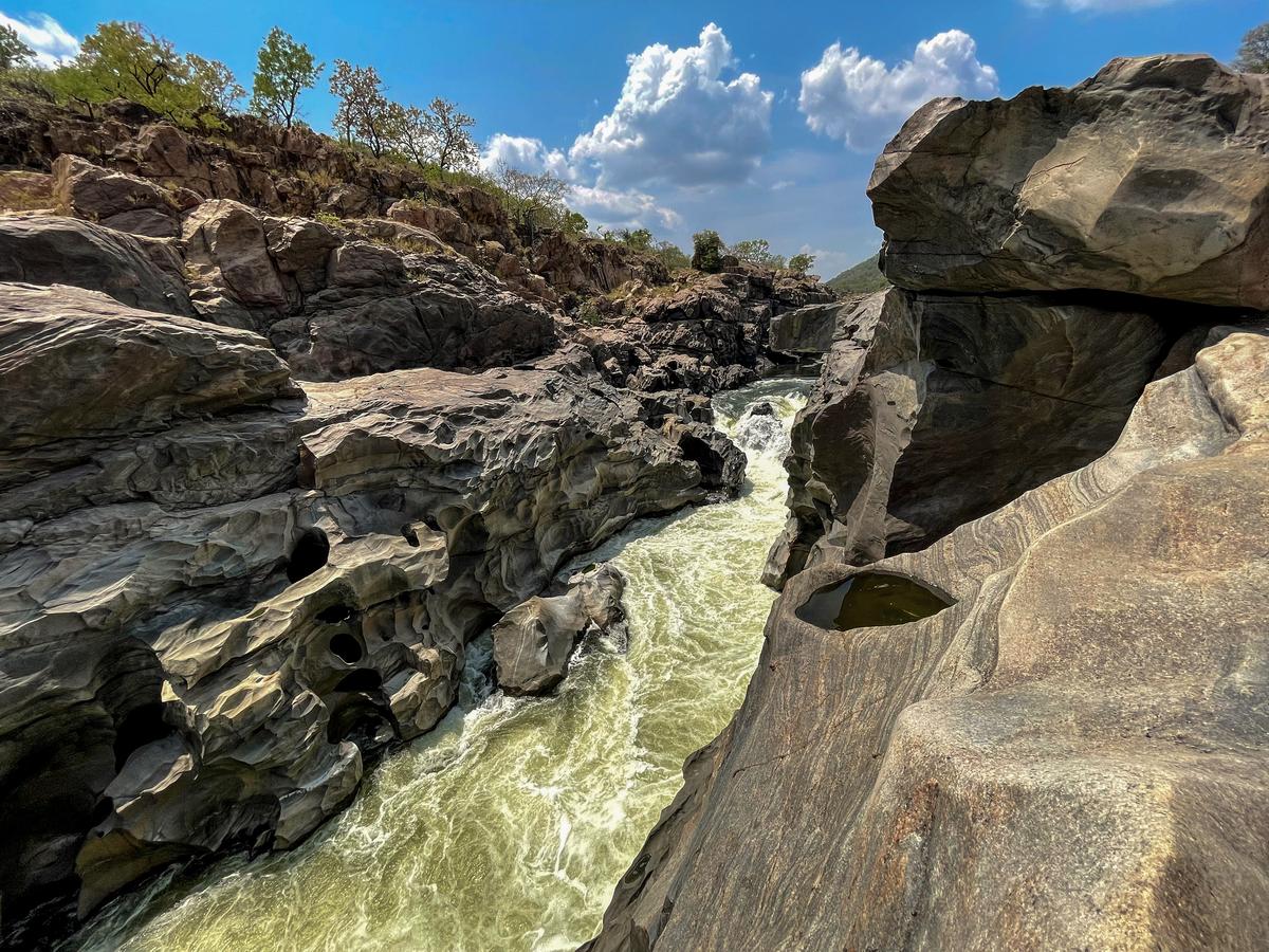 In Frames | Mind over Mekedatu - The Hindu