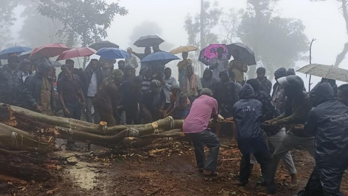Heavy rain lashes Yercaud - The Hindu
