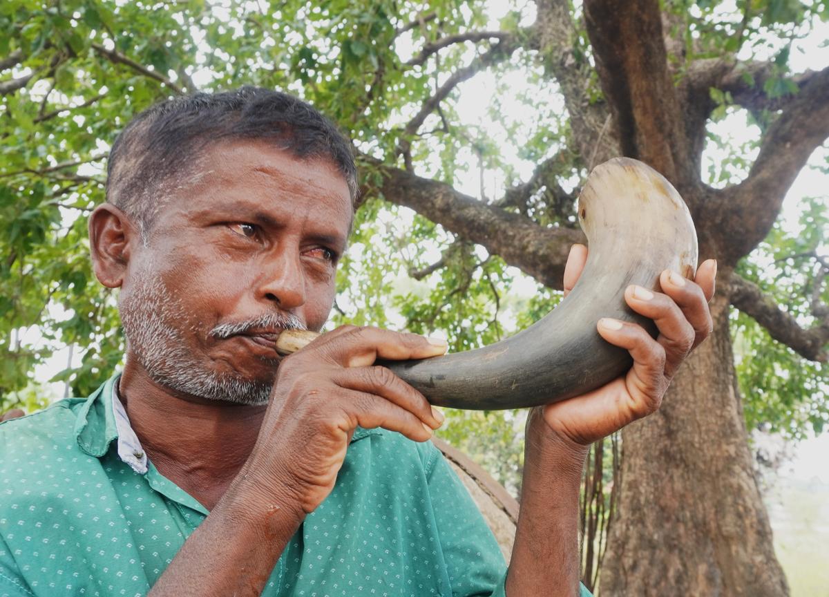 Koya tribe rides the eco-friendly wave to help conserve the Indian ...