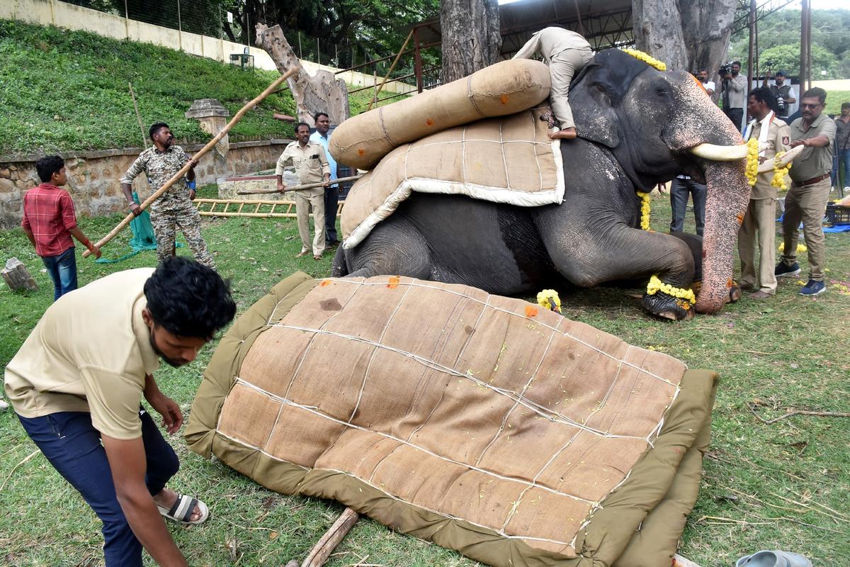 how to draw elephant with ambari