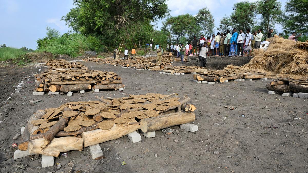 Kallakurichi hooch tragedy: Madras High Court grants time till July 3 for State to file status ...