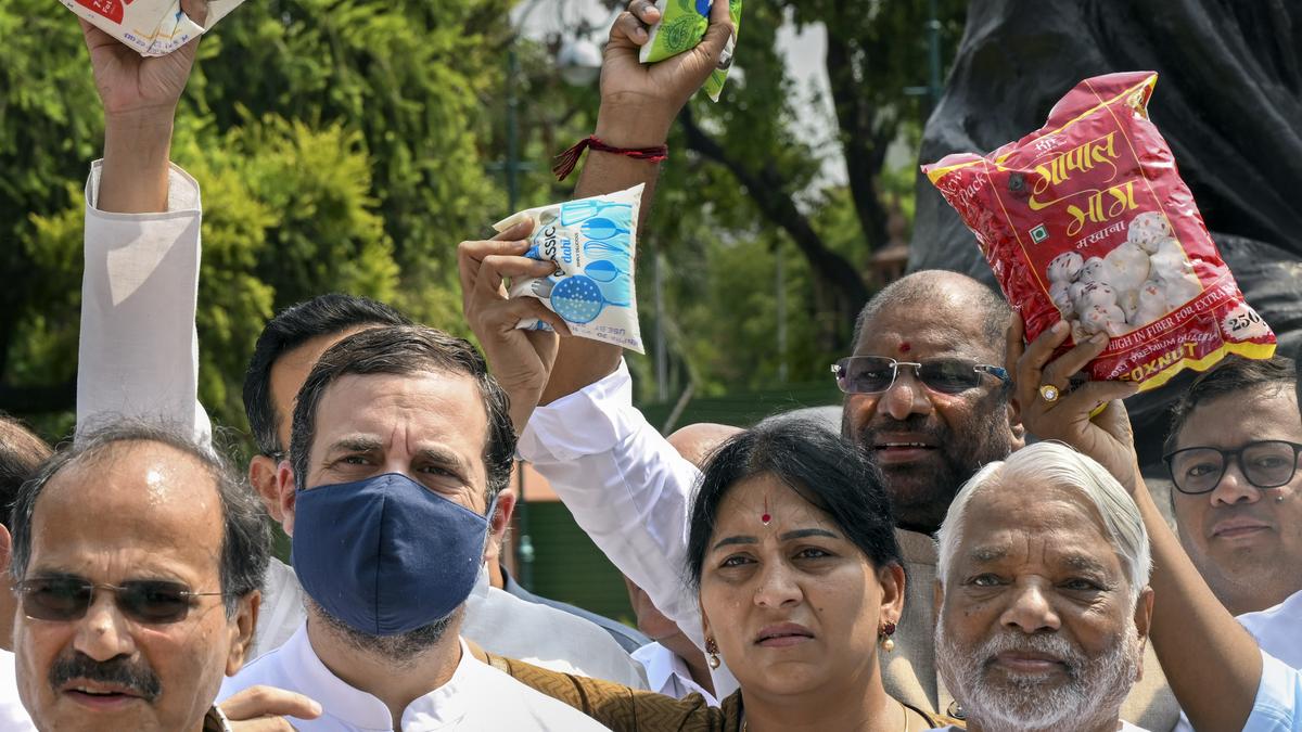 Parliament proceedings | Protests paralyse Parliament yet again - The Hindu